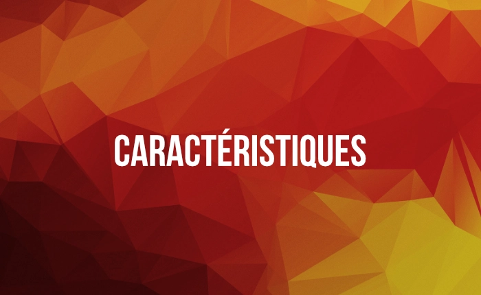 Caractéristiques - LC Academy
